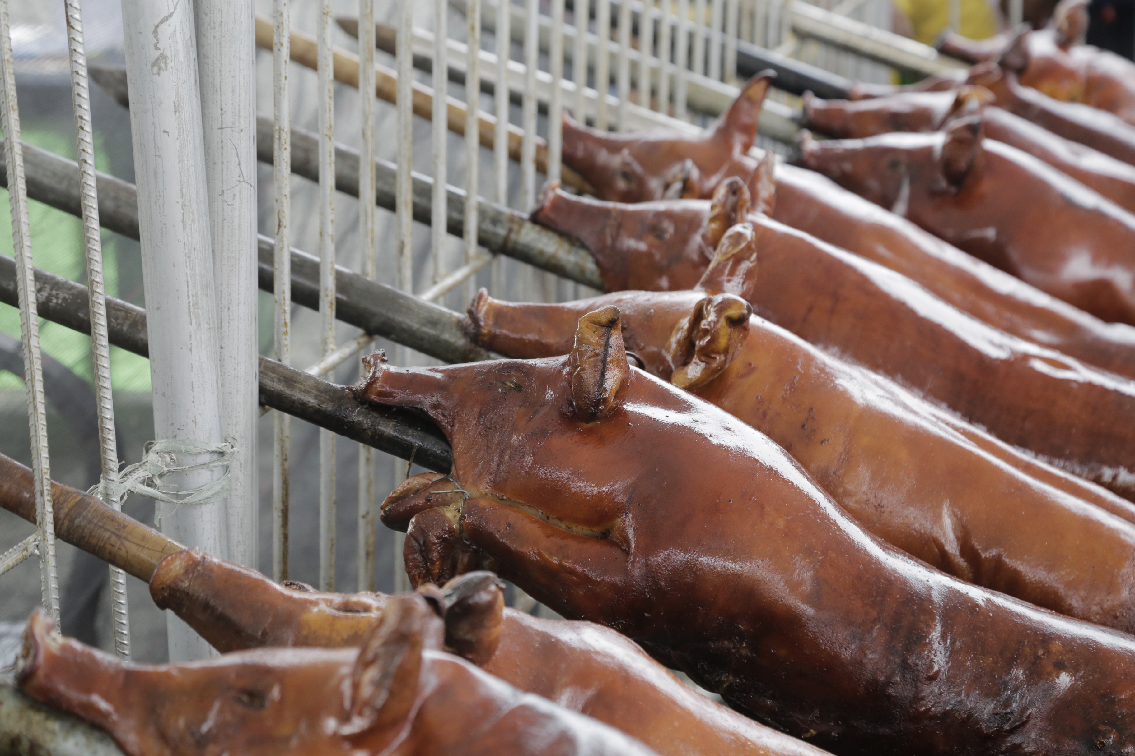 Tagum’s best lechon announced - Davao Eagle Online
